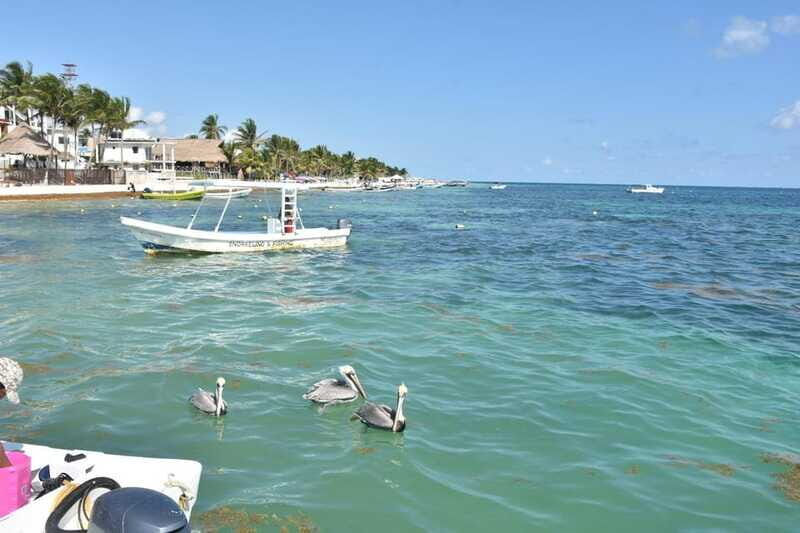 From Cancun: ATV EXPRESS Cenote Adventure with lunch - FAQs