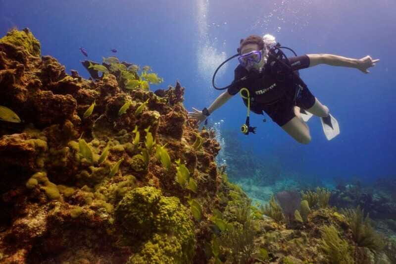 From Cancun: Chac Mool Cenote Diving Experience - Final Thoughts: Is It Worth It?