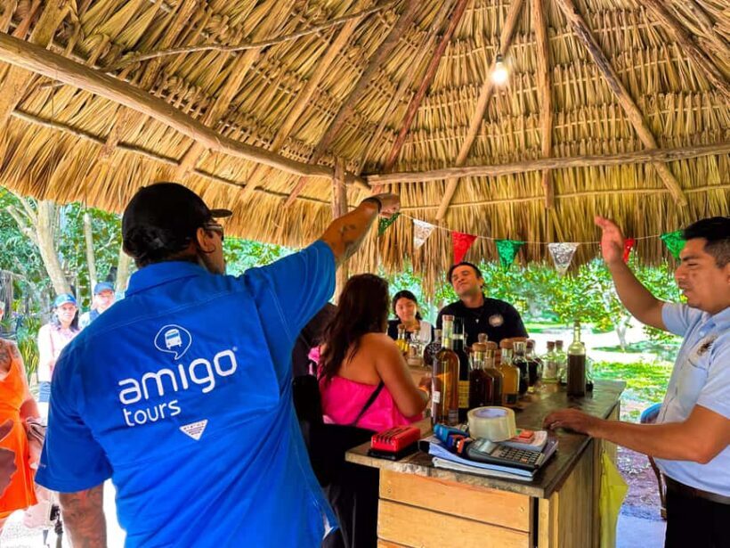 From Cancun: Chichen Itza, Cenote & Valladolid Day Trip - Who Will Love This Tour?