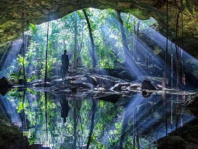 From Cancun: Chikin Ha Cenote Diving Experience - Who Should Consider This Tour?