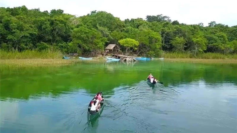 From Cancun: Coba Ruins and Punta Laguna Day Trip - An In-Depth Look at the Tour Experience