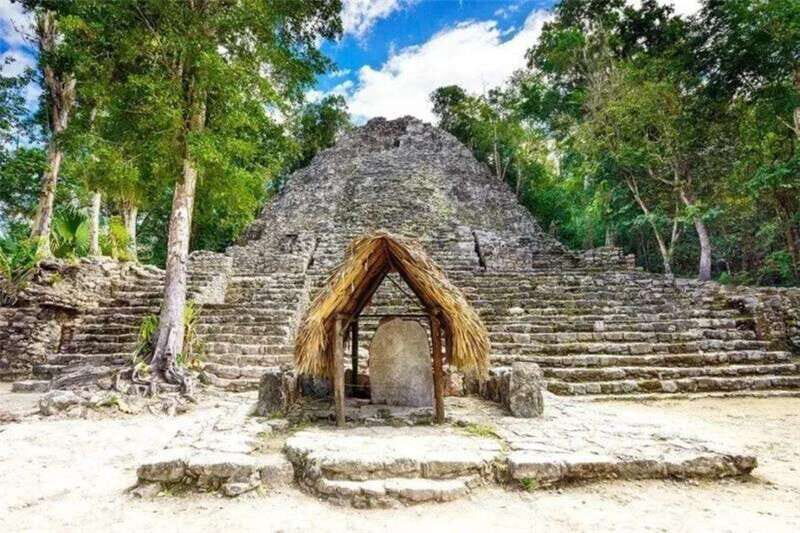 From Cancun: Coba Ruins and Punta Laguna Day Trip - Analyzing the Value