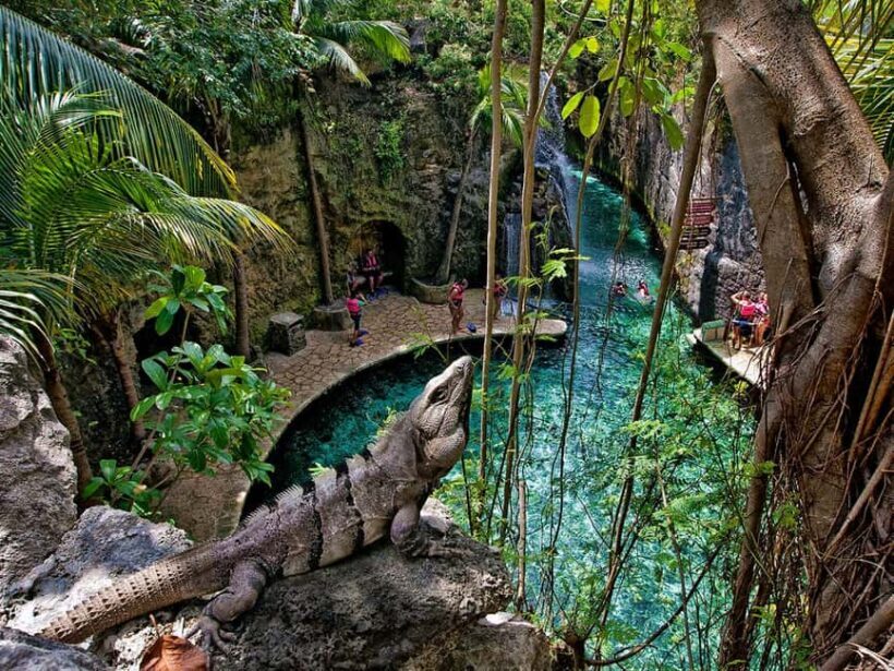From Cancun: Complete Combo to Xcaret Park! - An Overview of What to Expect