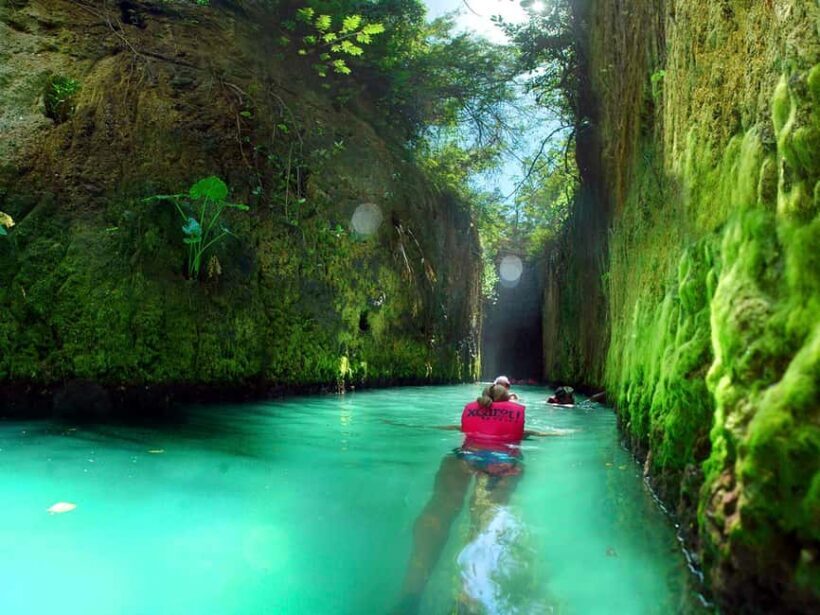 From Cancun: Complete Combo to Xcaret Park! - Practical Details: Transportation, Timing, and Tips