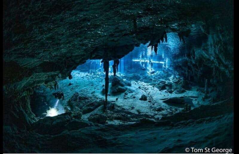 From Cancun: Dos Ojos Cenote Diving Experience - Key Points