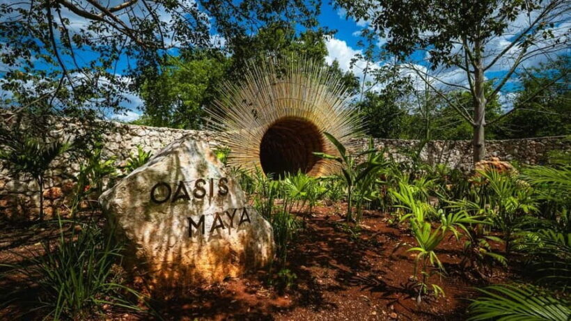 From Cancun: Ek Balam and Cenote Tour with Lunch & Transfer - Frequently Asked Questions