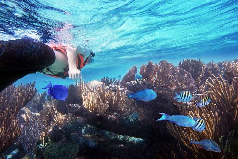 From Cancun: Garrafon Reef Park Admission with Ferry Tickets - Key Points