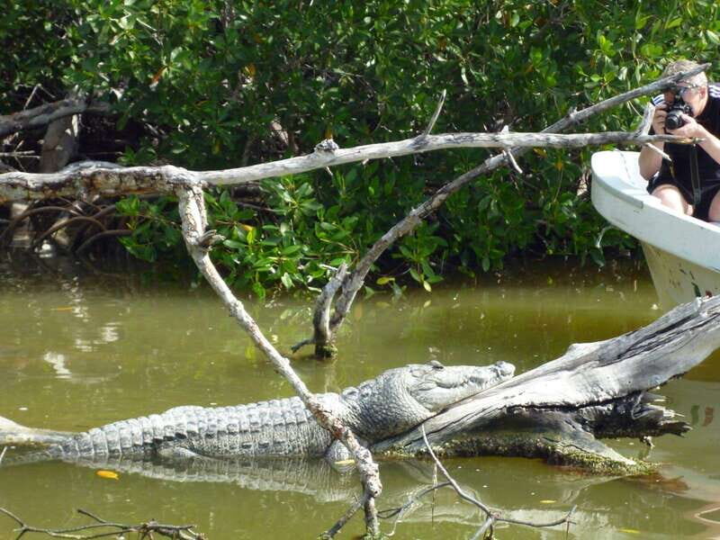 From Cancun: Kantemó Snake Cavern Adventure - Key Points