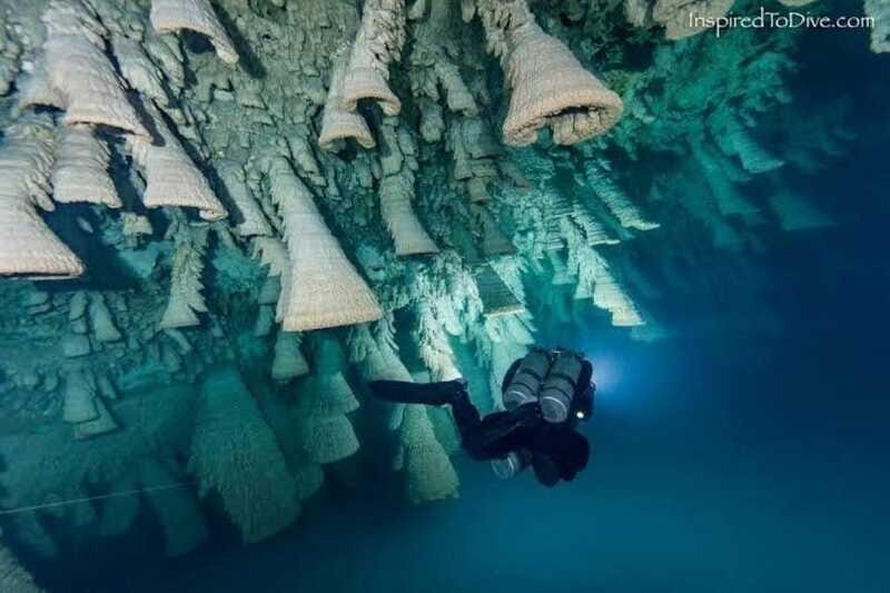 From Cancun: Kin Ha & Hell's Bells Cenote Diving Experience - FAQ
