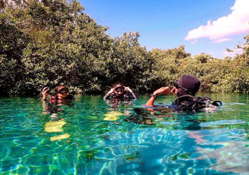 From Cancun: Ocean Reef Snorkeling - FAQs
