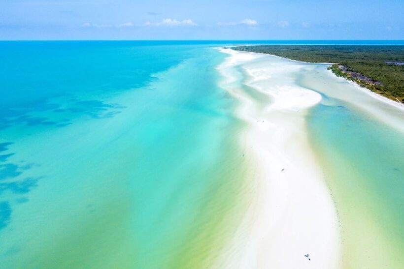 From Cancun or Puerto Morelos: Holbox Boat Tour with Lunch - What Makes This Tour Stand Out
