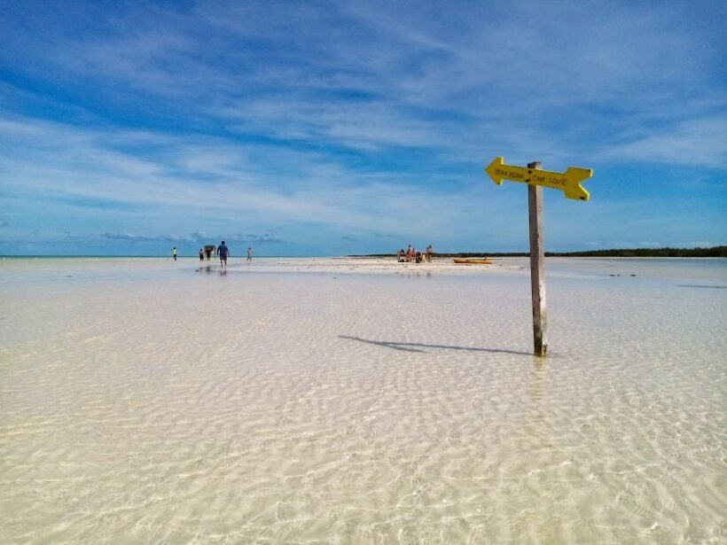 From Cancun or Puerto Morelos: Holbox Boat Tour with Lunch - Authentic Reviews and Insights