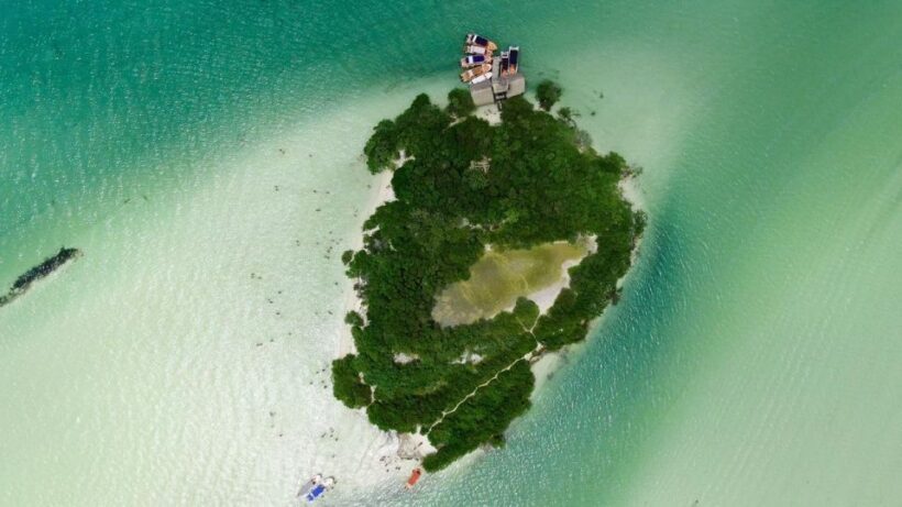From Cancun or Puerto Morelos: Holbox Boat Tour with Lunch - Who Will Love This Tour?