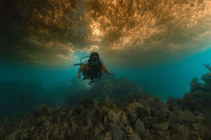 From Cancun: Puerto Morelos Diving Adventure - Final Thoughts: Is It Worth It?