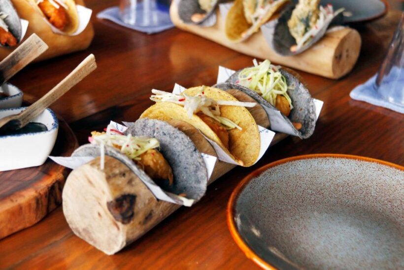 From Cancún: Puerto Morelos Guided Taco Tasting Tour - Final Thoughts