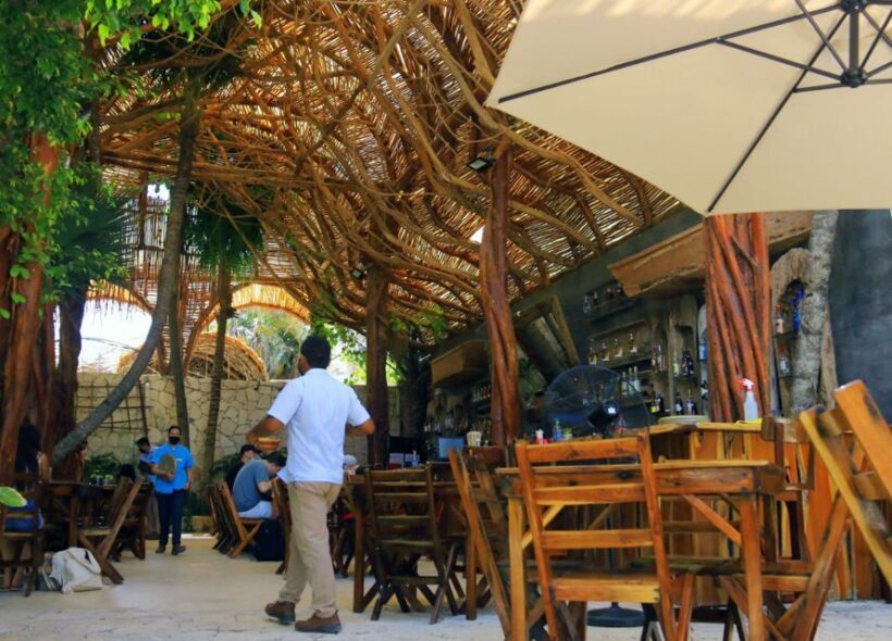 From Cancún: Puerto Morelos Guided Taco Tasting Tour - FAQ