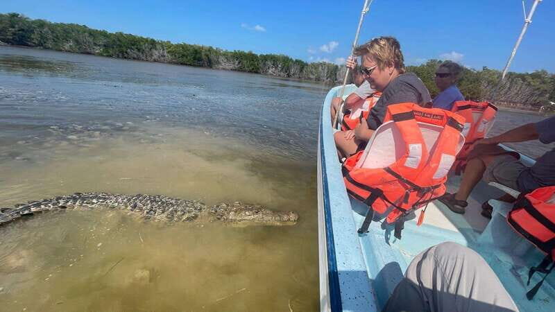 From Cancun: Rio Lagartos and Las Coloradas Day Trip - Final Thoughts: Who Will Love This Tour?