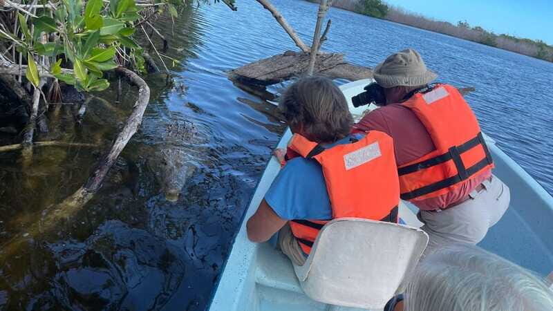 From Cancun: Rio Lagartos and Las Coloradas Day Trip - FAQ (Frequently Asked Questions)