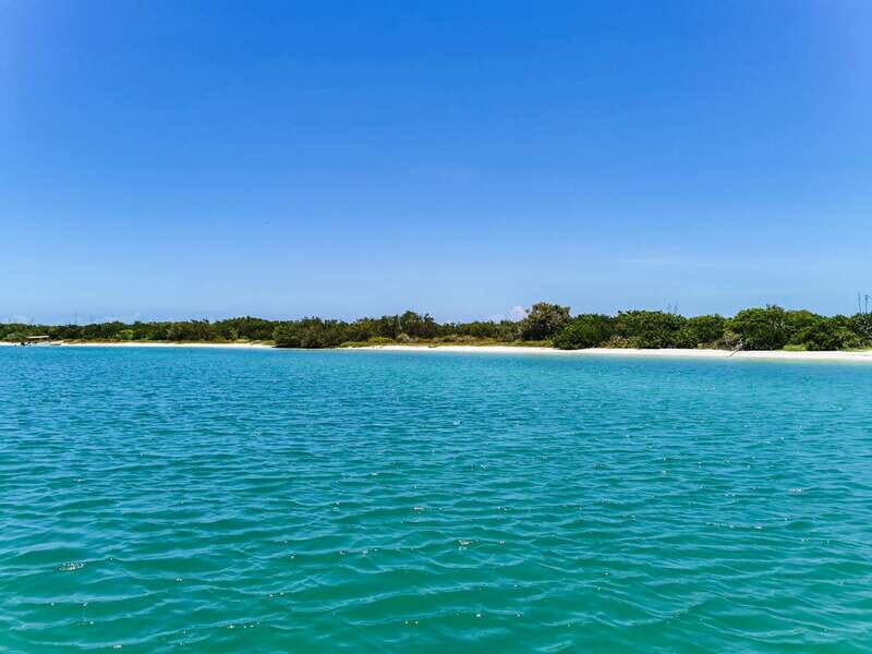 From Cancún: Rio Lagartos & Las Coloradas Day Trip & Lunch - What Makes This Tour Special