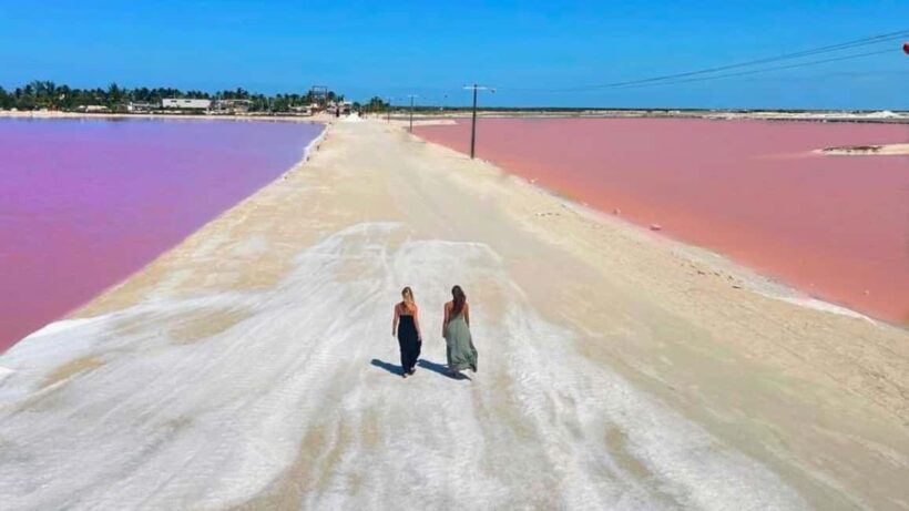 From Cancún: Rio Lagartos & Las Coloradas Day Trip & Lunch - What’s Included & What to Budget