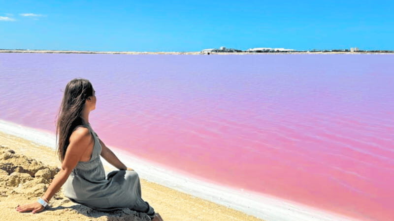 From Cancún: Rio Lagartos & Las Coloradas Day Trip & Lunch - Practical Tips for Travelers