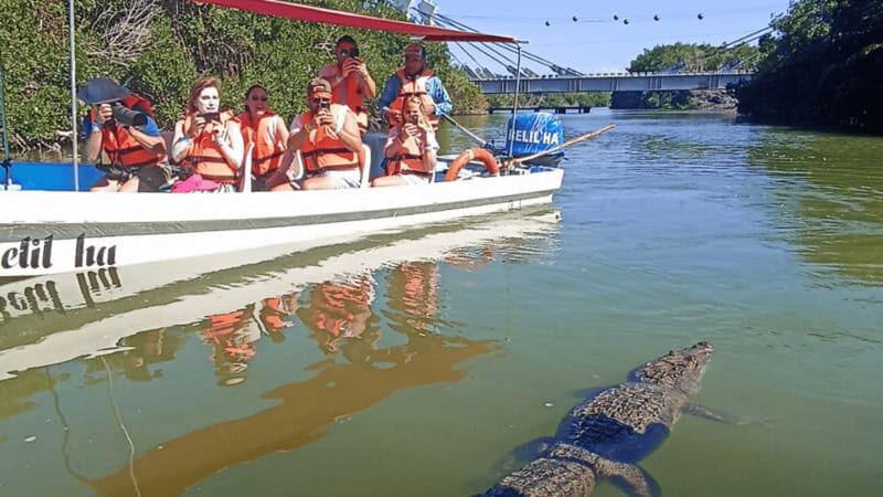 From Cancún: Rio Lagartos & Las Coloradas Day Trip & Lunch - Final Thoughts: Is This Tour Worth It?