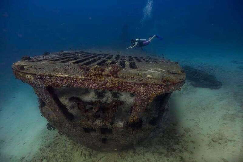 From Cancun: Shipwreck Dives Experience in Puerto Morelos - An In-Depth Look at the Shipwreck Dives Experience