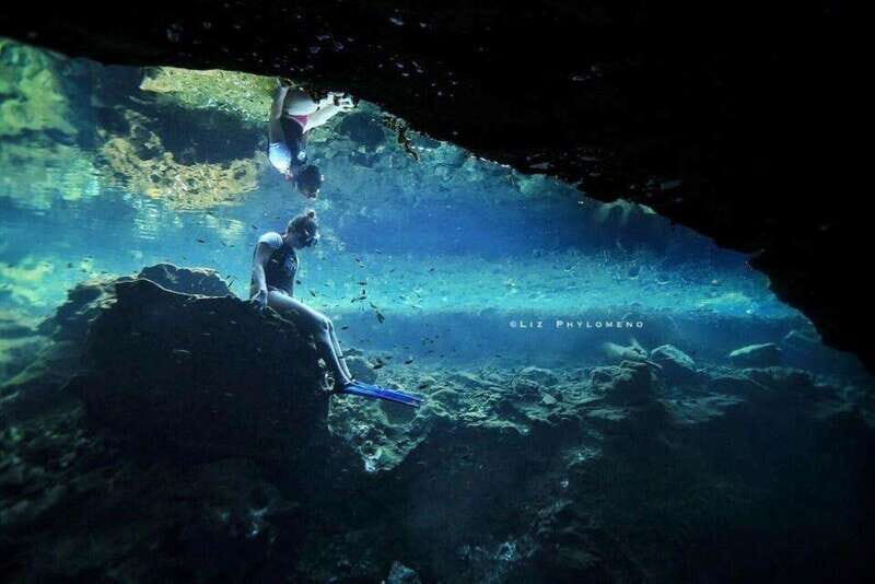 From Cancun: Snorkeling Cozumel Reefs - The Value of the Experience