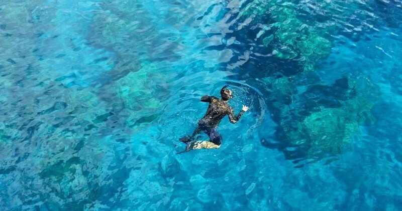 From Cancun: Snorkeling Cozumel Reefs - Who Should Consider This Tour?