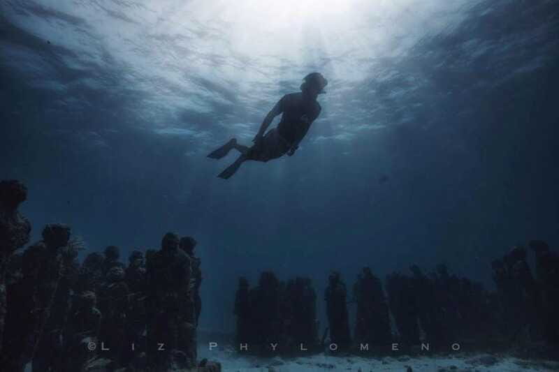 From Cancun: Snorkeling Cozumel The Heaven - Common Traveler Feedback