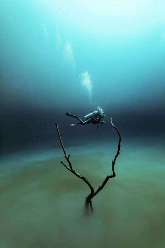 From Cancun: The Pit and Dos Ojos Cenote Diving Experience - What the Tour Offers: A Closer Look