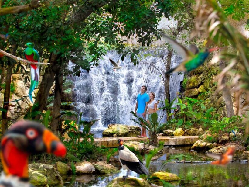 From Cancun: Xcaret Plus Park, the complete experience - Final Thoughts