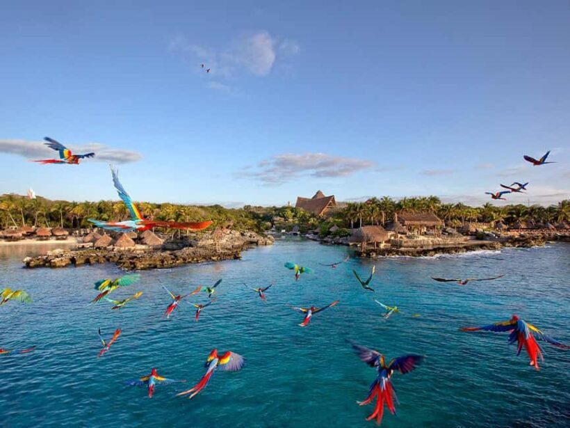 From Cancun: Xcaret Plus Park, the complete experience - FAQ