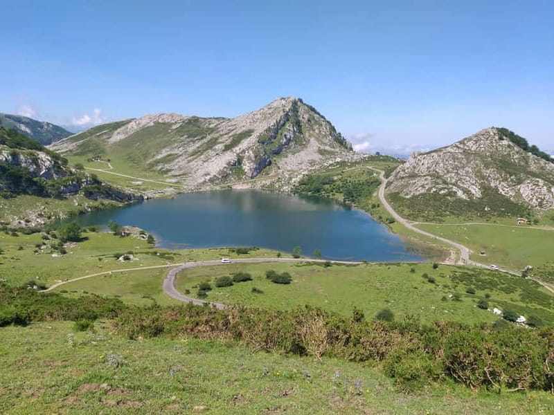 From Cangas de Onis: Lakes of Covadonga Guided Day Trip - Authenticity and Value