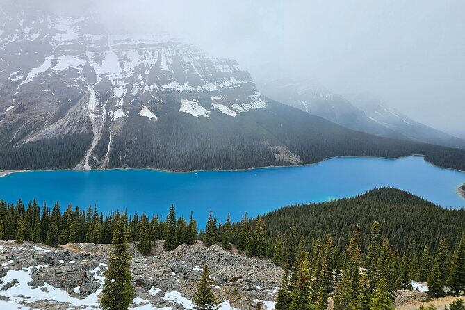 From Canmore/Banff: Columbia Icefield Skywalk Peyto Private Tour - Who Is This Tour Best For?