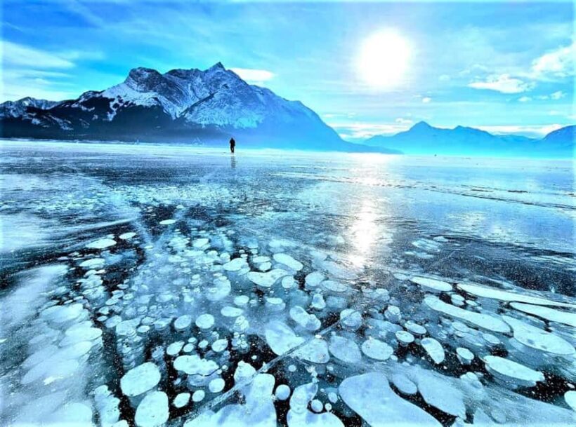 From Canmore/Banff: Icefields Parkway & Abraham Lake Bubbles - What’s Included & What to Consider