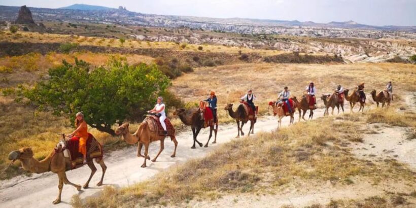 From Cappadocia: Sunrise or Sunset Camel Riding Day Trip - FAQ