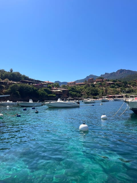 From Cargèse : The Grand Tour of the Gulf - Final Thoughts