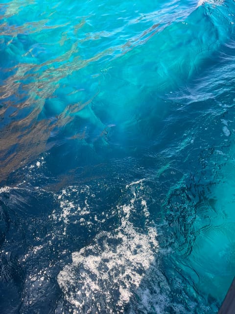 From Cargèse : The Grand Tour of the Gulf - Frequently Asked Questions