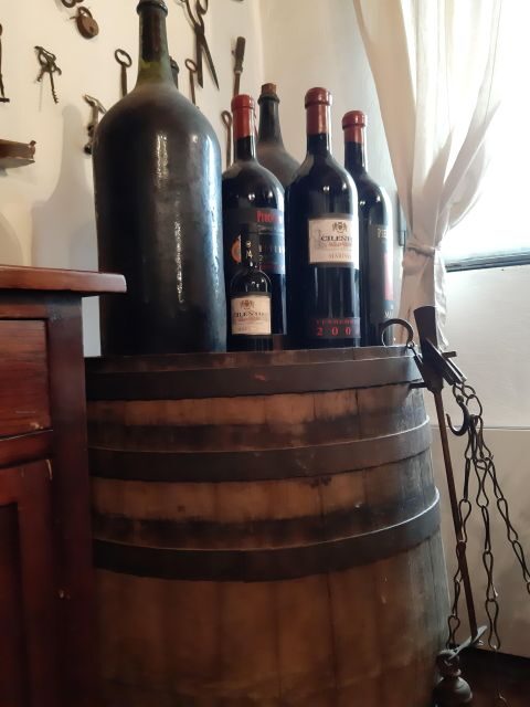 From Castellabate: Food Tour in Cilento National Park - Authenticity and Value for Travelers