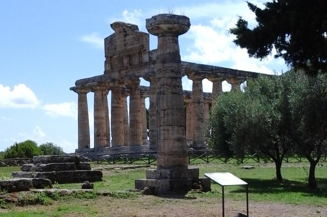 From Castellabate Paestum Temples Bufala Mozzarella wine tasting - Key Points