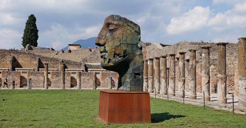 From Castellabate: Pompeii Ruins, wine tasting lunch tour - Introduction: A Well-Rounded Day of History and Flavour