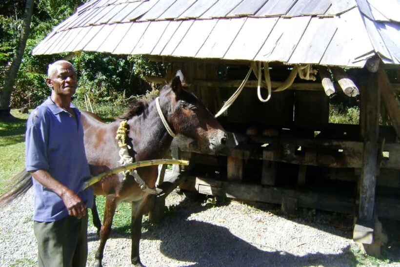 From Castries: Full-Day Catamaran Tour to Soufriere - The Land of Legend and Water