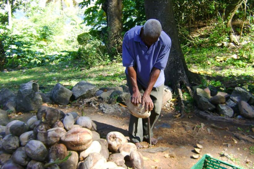 From Castries: Full-Day Catamaran Tour to Soufriere - Why This Tour Works Well