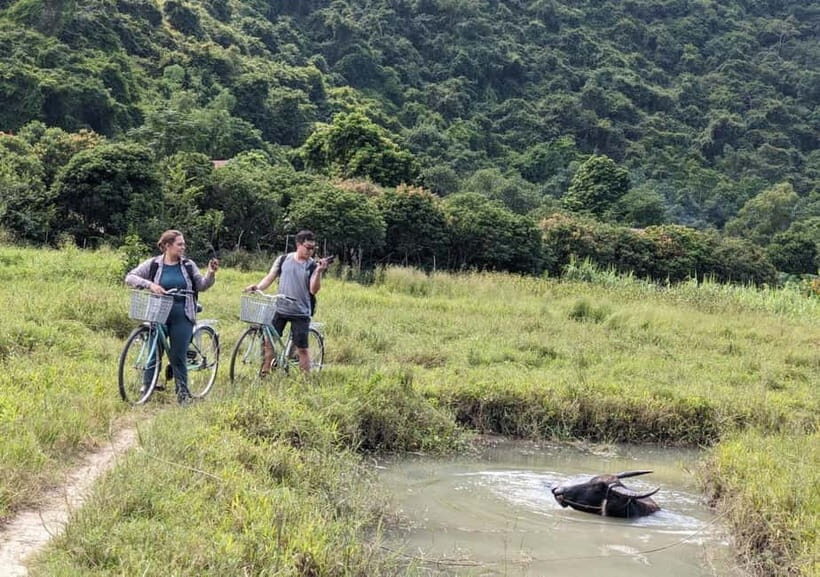 From Cat Ba: Day Trip Explore Lan Ha Bay & Viet Hai Village - Who Would Enjoy This Tour?