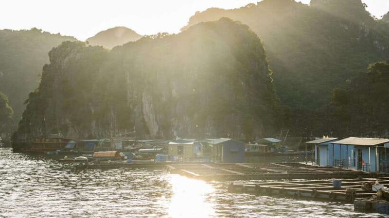 From Cat Ba: Full-day tour explore the stunning Lan Ha Bay - Practical Details and What to Keep in Mind