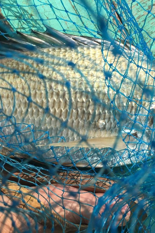 From Cat Ba Island: Private Full Day Fishing Tour Lan Ha Bay - The Value of This Tour