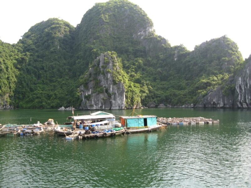 From Cat Ba Island: Private Full Day Fishing Tour Lan Ha Bay - Who Will Enjoy This Tour?