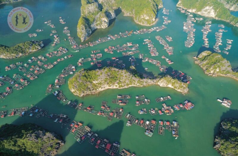 From Cat Ba Island: Private Full Day Fishing Tour Lan Ha Bay - FAQ