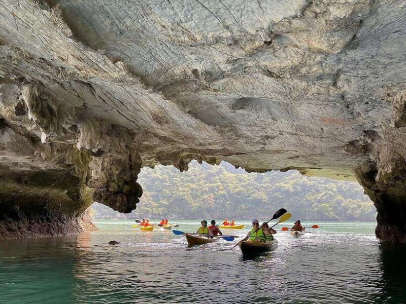 From Cat Ba: Lan Ha and Monkey Island Full Day Boat Trip - Who Is This Tour Best For?